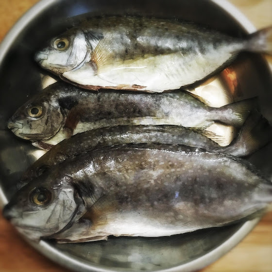 Rabbit Fish Congee 泥鯭粥 | Chinese Recipes at TheHongKongCookery.com