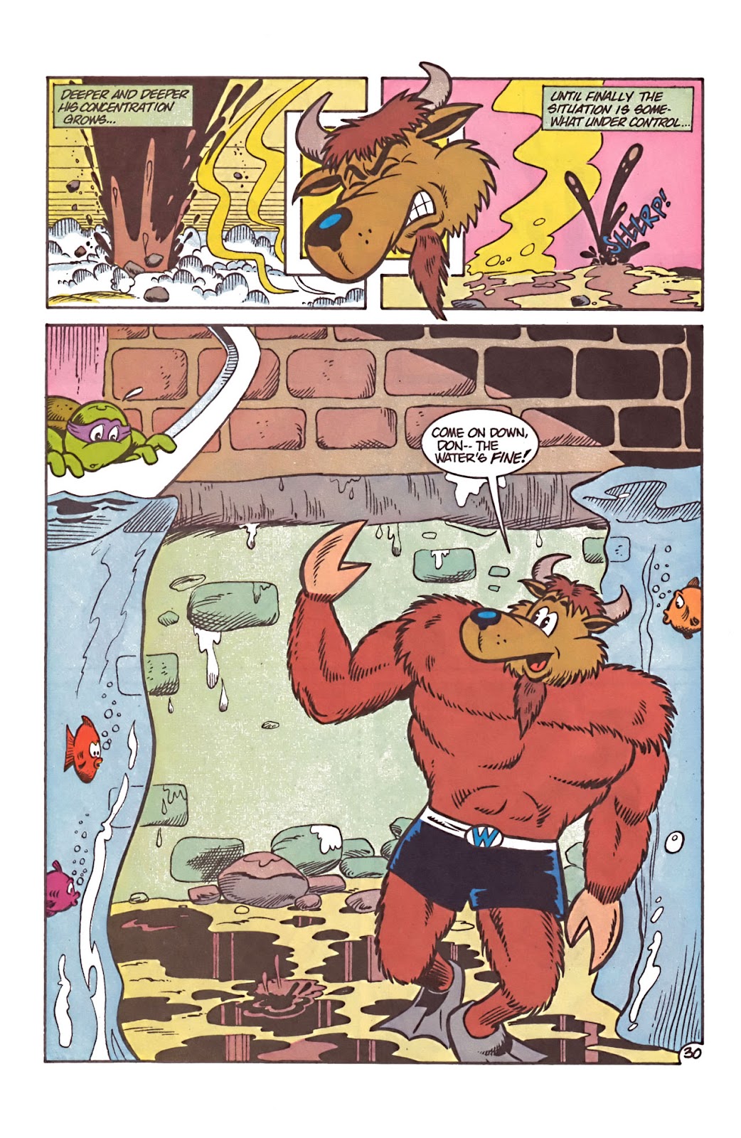 Read online Teenage Mutant Ninja Turtles Meet The Conservation Corps ...