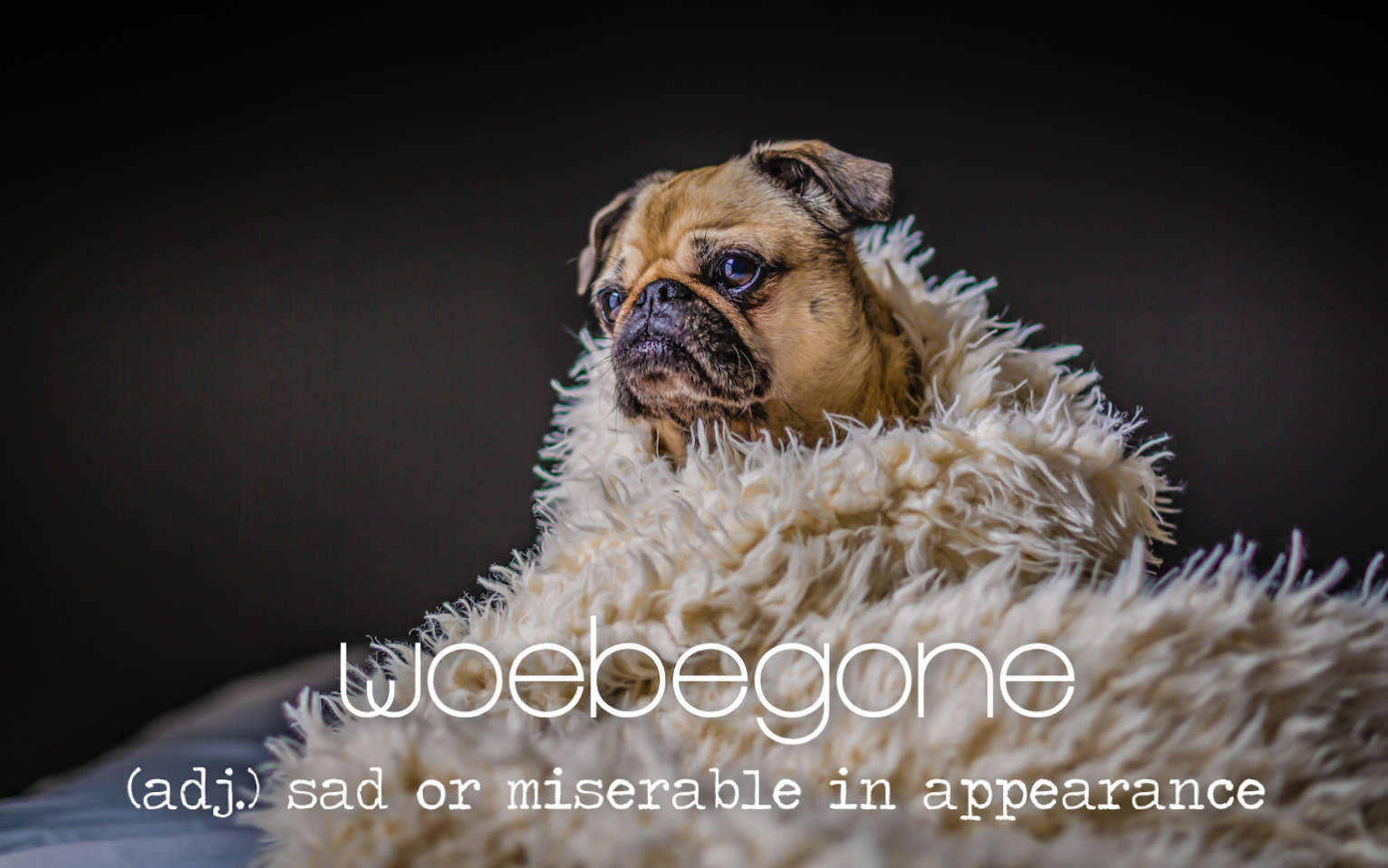 The word is Woebegone - Peter Noah Thomas