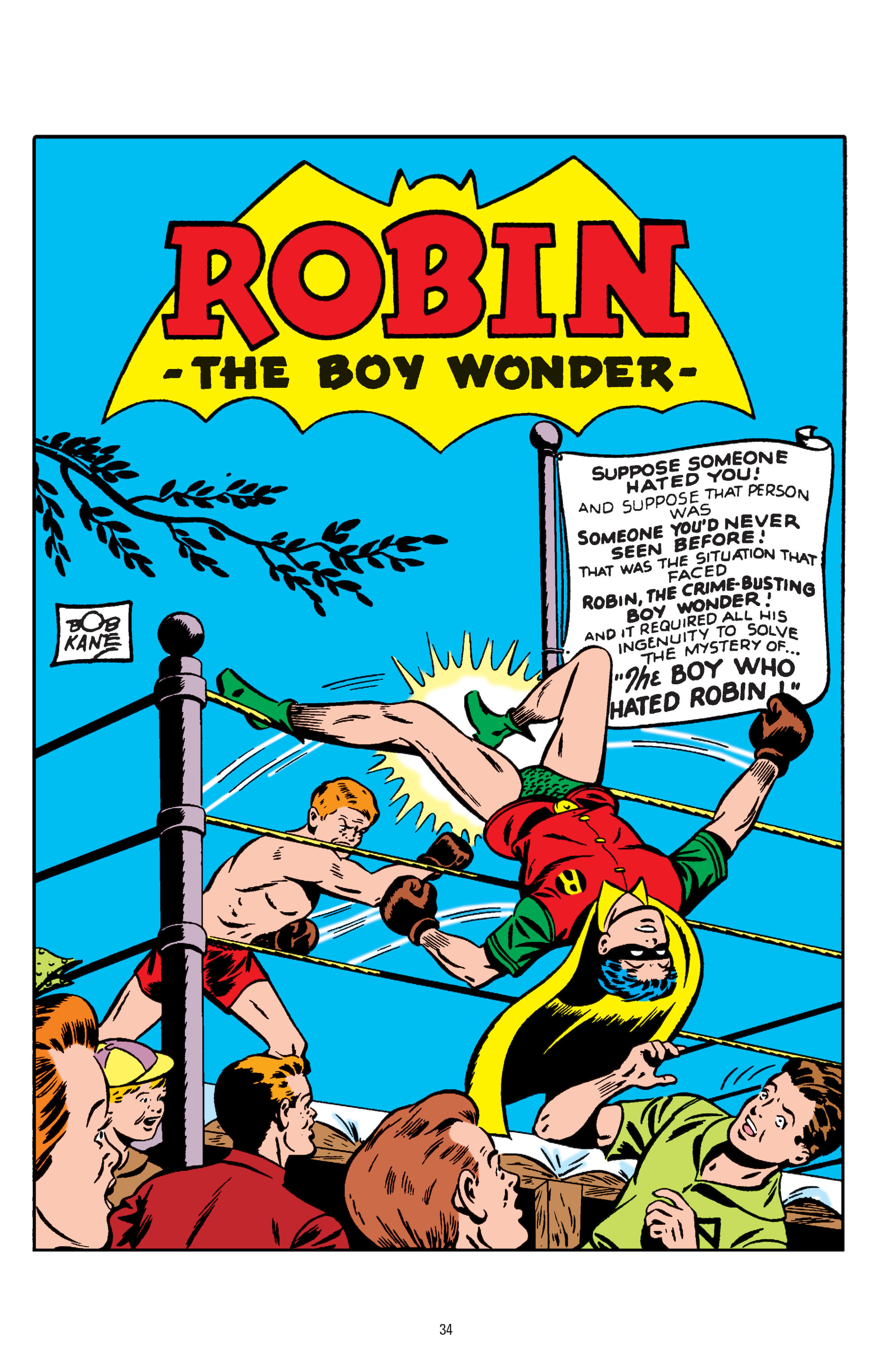 Robin the Boy Wonder: A Celebration of 75 Years TPB (Part 1)