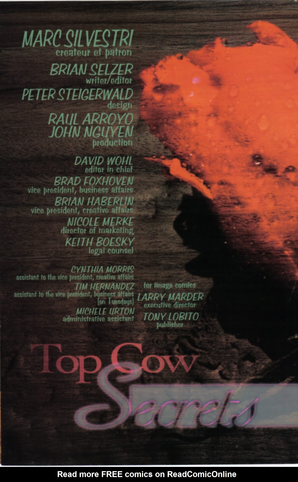 Read online Top Cow Secrets-Special Winter Lingerie Edition comic ...