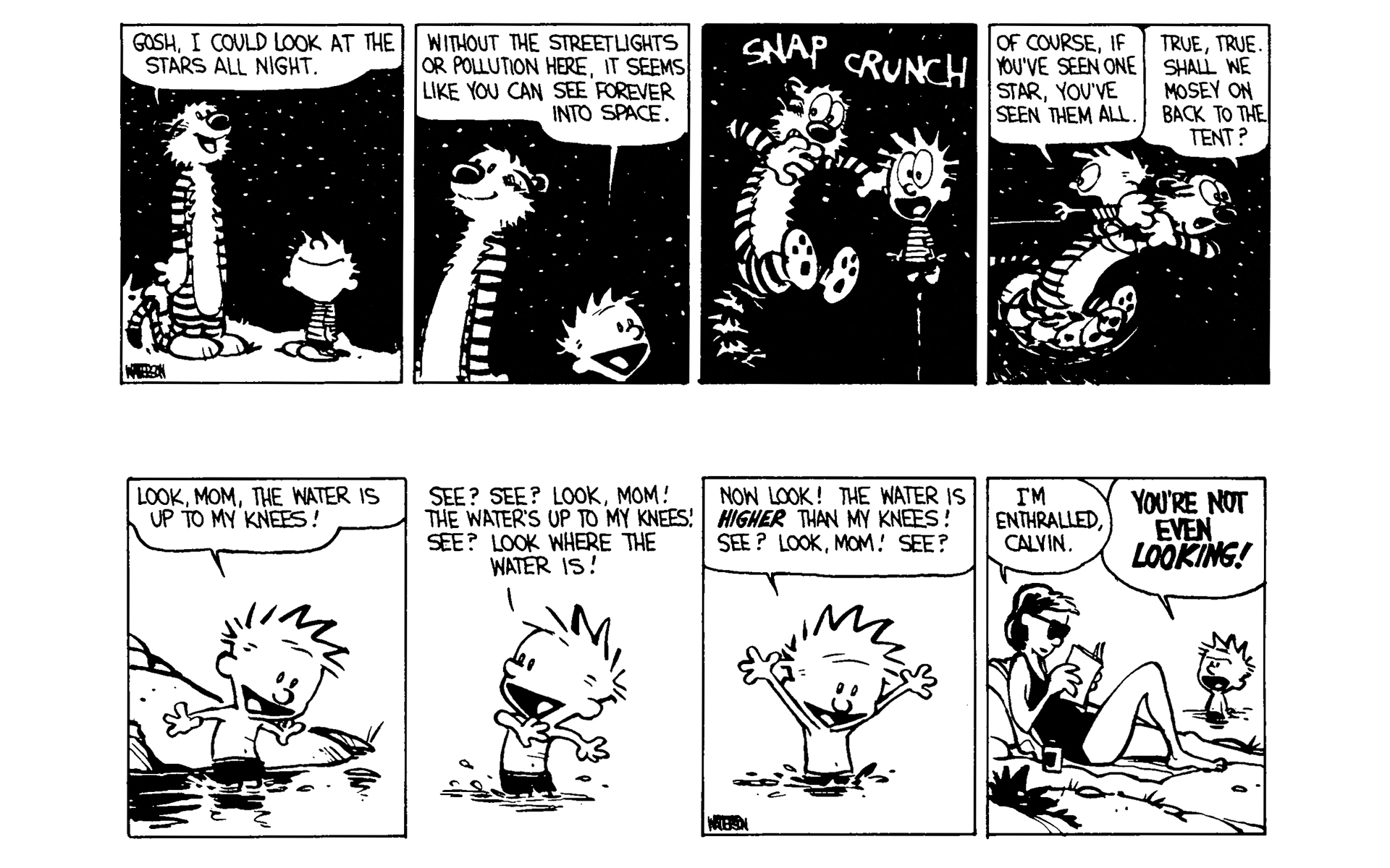 Read online Calvin and Hobbes comic - Issue #4