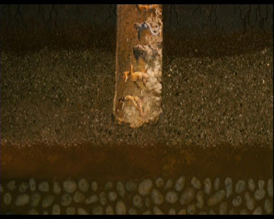 Stop My Suffering: Fantastic Mr Fox