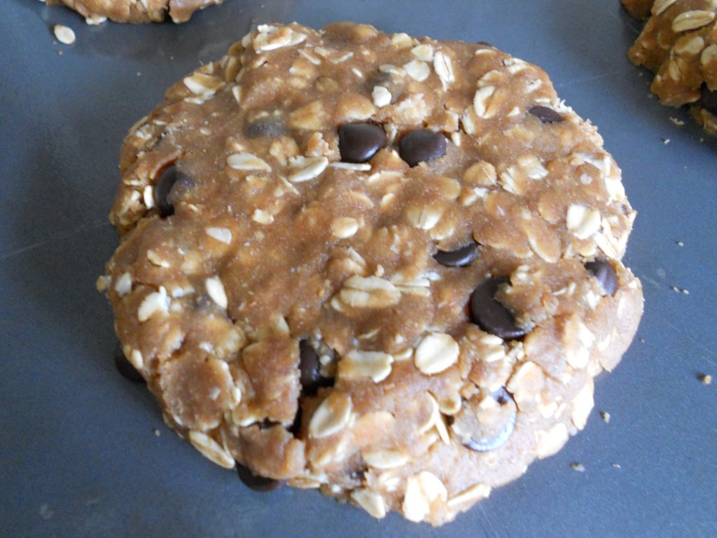 Snacking Squirrel: Cookie Recipe