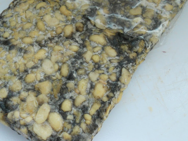 Snacking Squirrel: Under Pressure