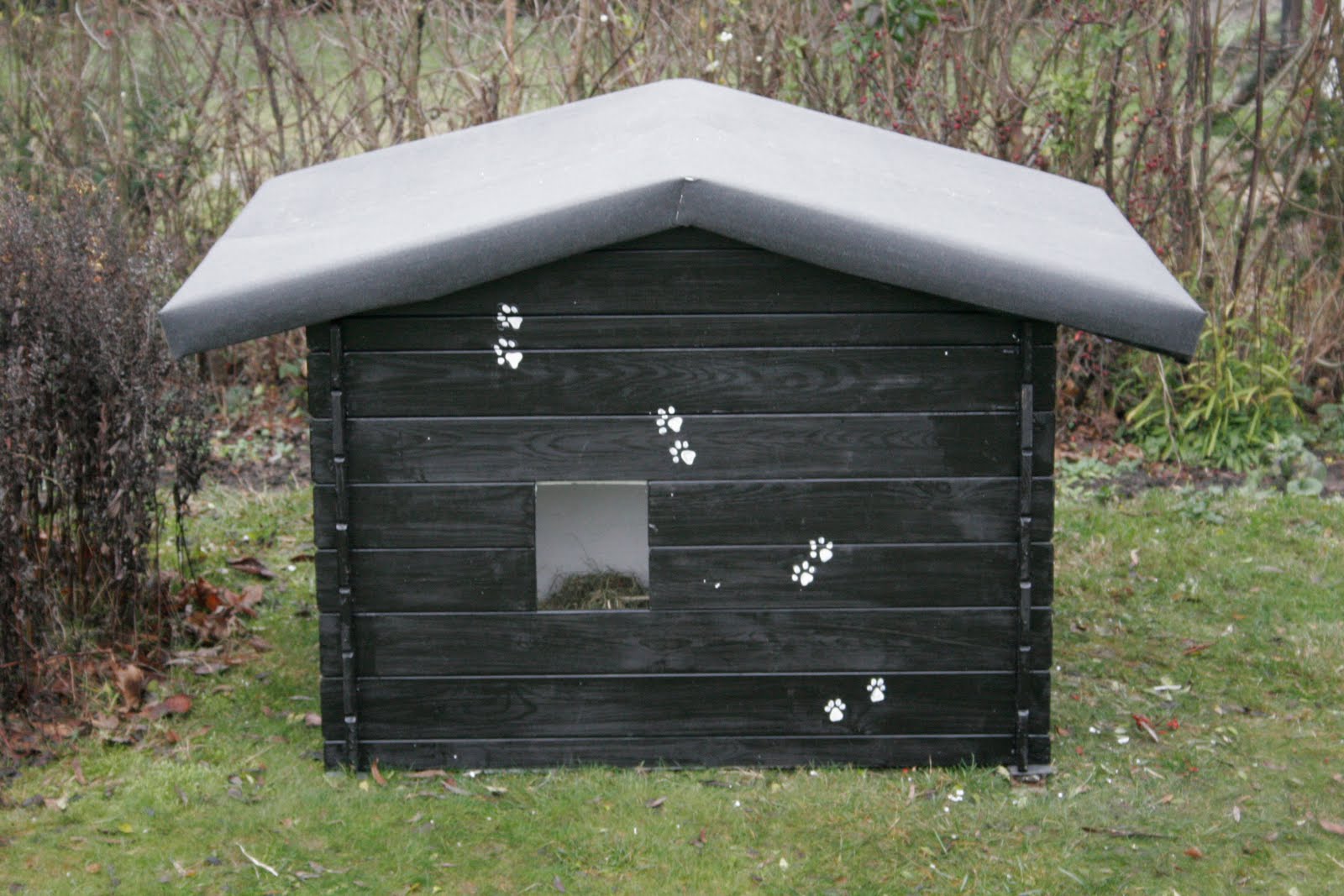 Kolonikatter: Katthus & julkort