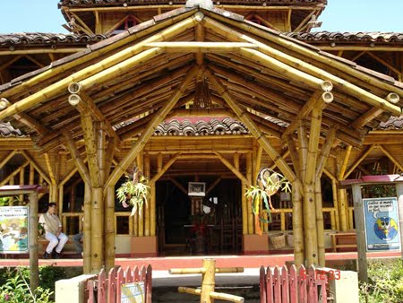 PITALITO VIVO: LOS GUADUALES DEL GUARAPAS