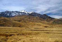 santa rosa capital ganadera del peru