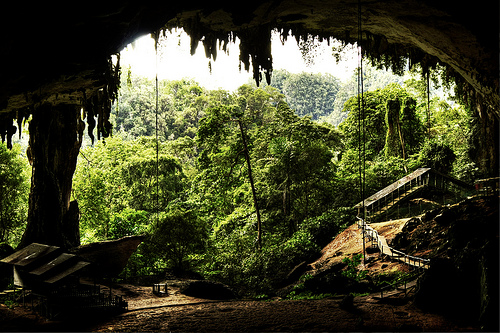 Full Day Niah Cave