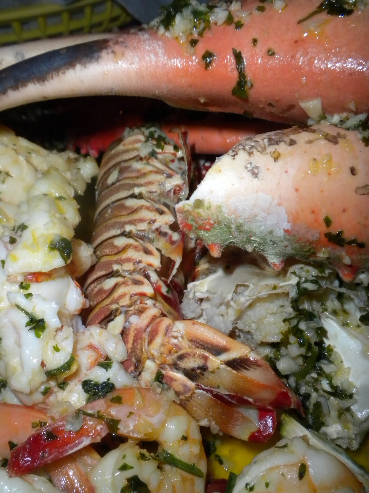 Foodies Unite: 4/8/2010 Gio's, Roatan, Honduras