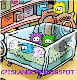 CLUB PENGUIN ISLAND: White Puffle is finally added in the pen!