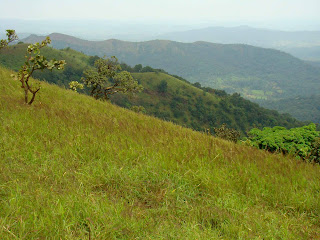 Nature Stillls 4 U: Kudajadri Hills