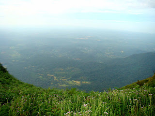 Nature Stillls 4 U: Kudajadri Hills