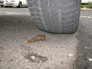 Pensar Não Dói, ai, ai!: ANATOMIA DE UM CAGALHÃO