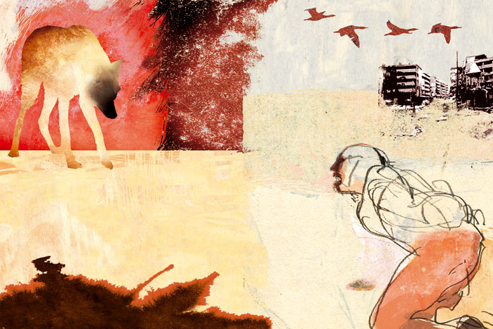 Fogli e Nuvole: Cadute