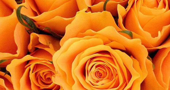 psicologia del color