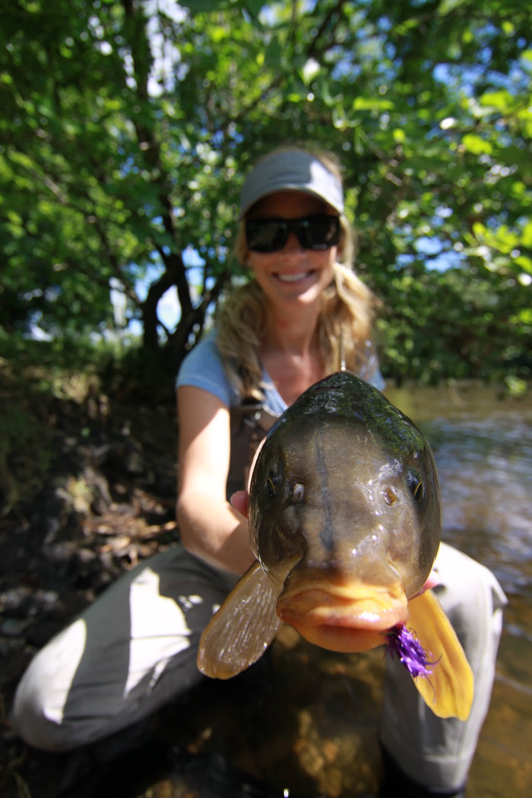 Steelhead Alley Outfitters- Lake Erie Fly Fishing Guide Service and ...