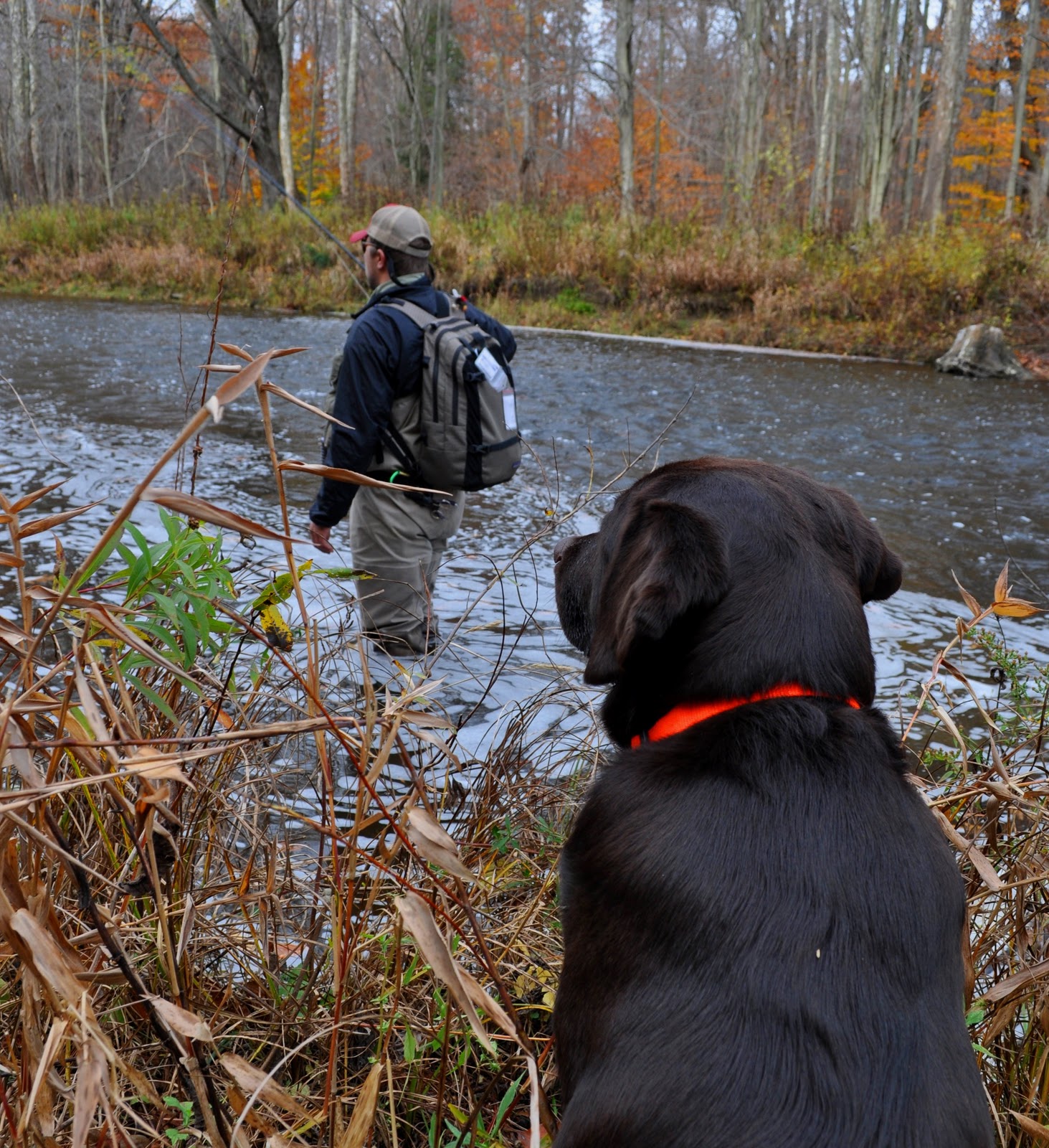 Steelhead Alley Outfitters- Lake Erie Fly Fishing Guide Service and ...