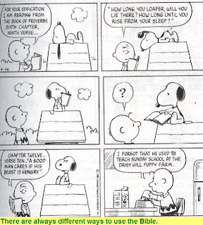 Epiphany: PEANUTS and the BIBLE