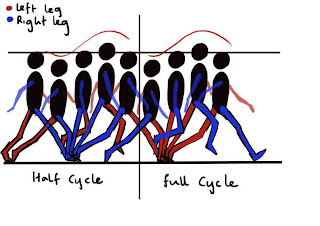 WALK CYCLE: February 2011