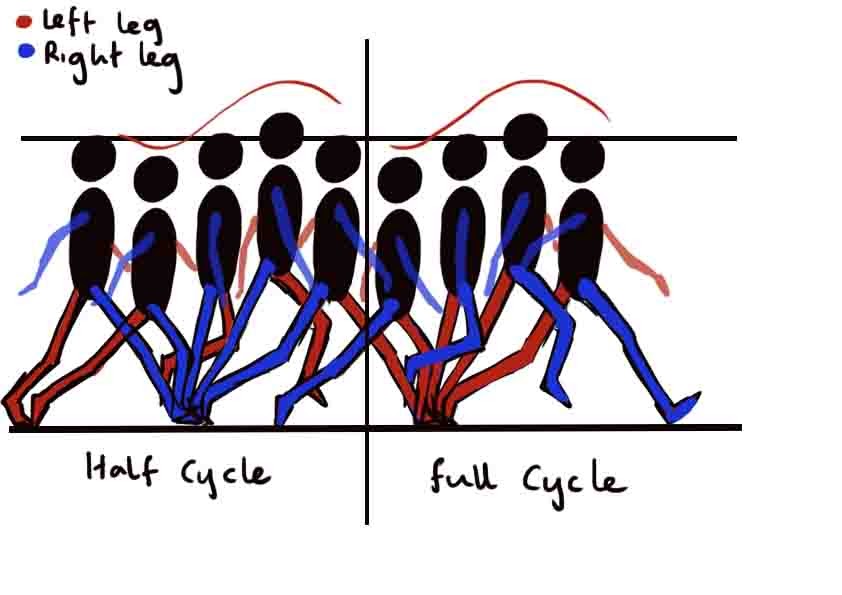 WALK CYCLE: My next walk cycle diagram