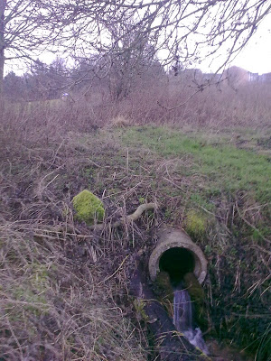 Red Well of Wellingborough: Red Well, Wellingborough - a little bit of ...