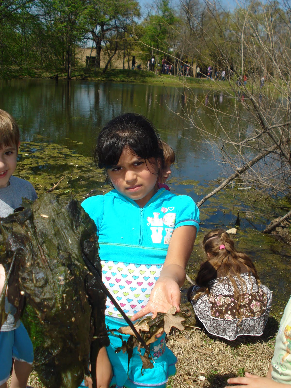 Mrs. Hendrix's Kindergarten Class: Pond Field Trip