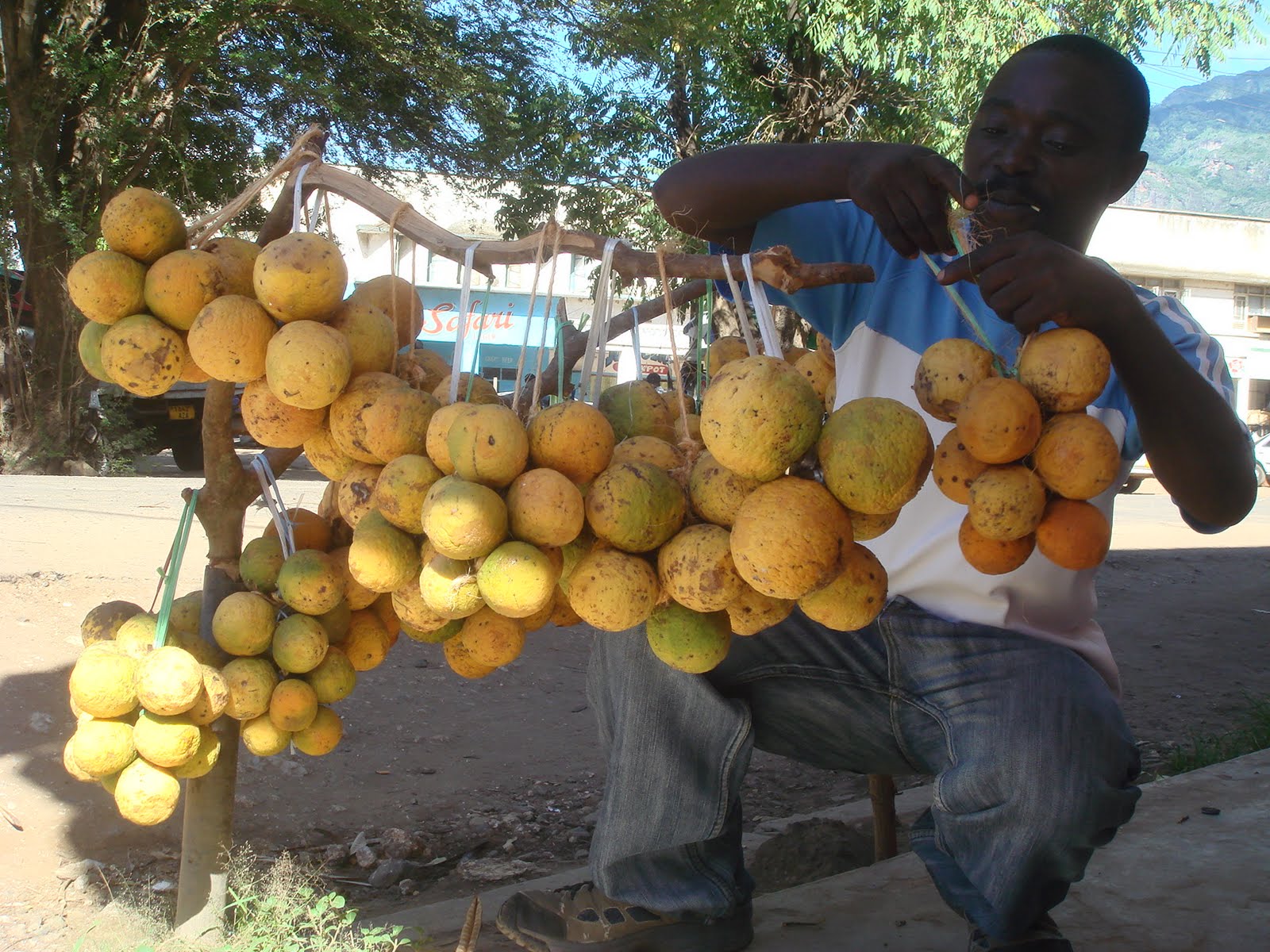 MATUNDA YA MSIMU (MABUNGO) | MTANDA BLOG