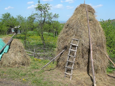 mes voyages - my travels: Tuzla and Srebrenik, April 29-30, 2008