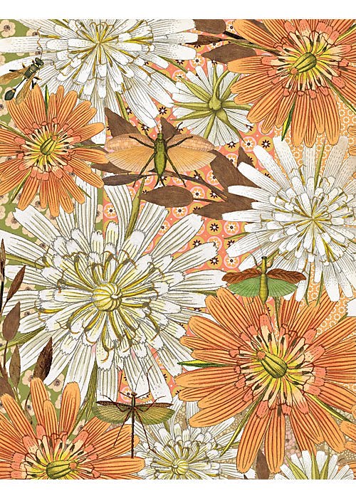 Kaleidoscope Beautiful Paper Prints kaleidoscope-beautiful-paper-prints