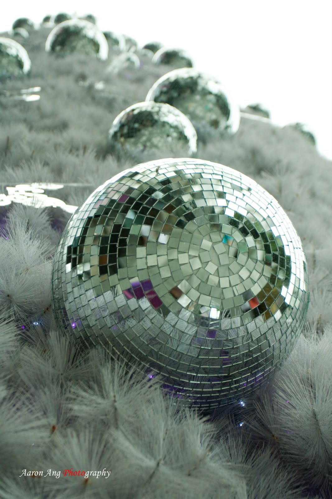 Aaron Ang Photography: Life in Singapore