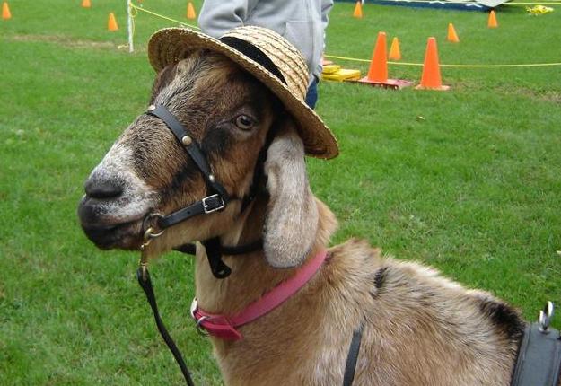 Hat shopping in Malaga | The Fedora Lounge