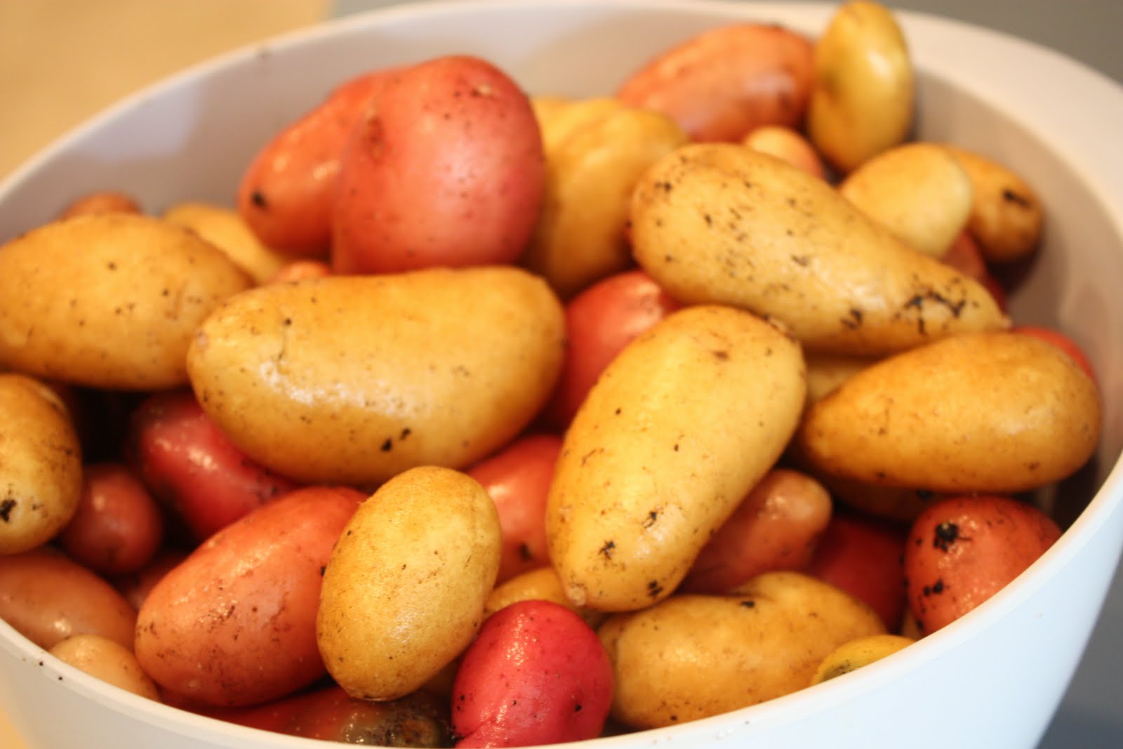 Potatoes Grown in Cages