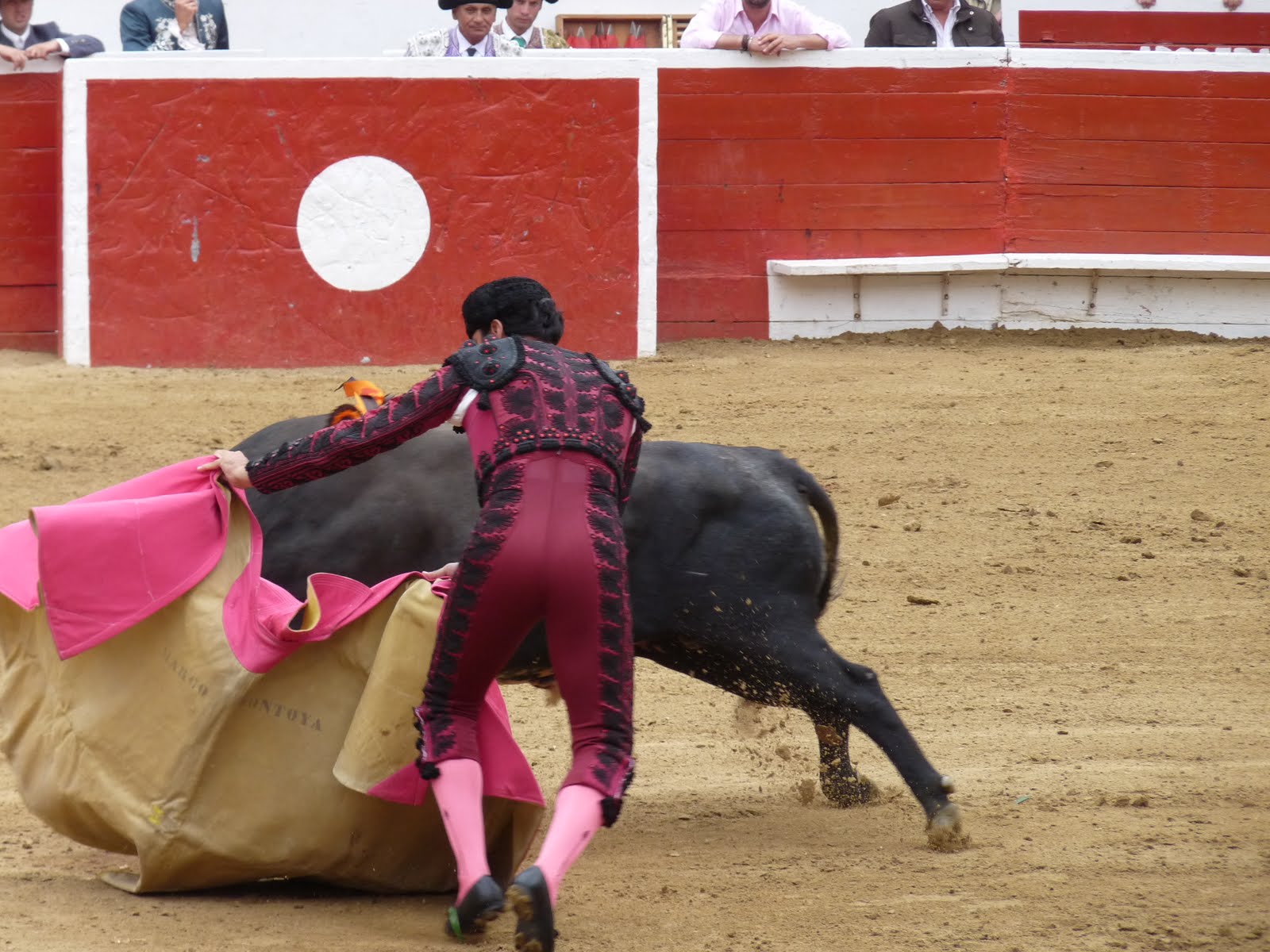 Our Life: A Bull Fight.