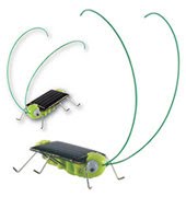 rata: videos de robot