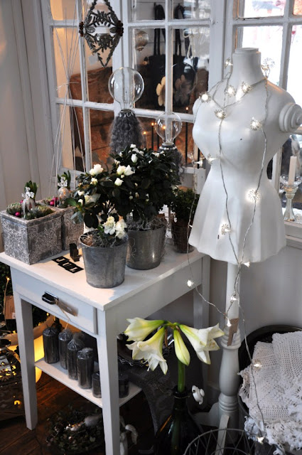 LILJOR OCH TULPANER: Julvecka och julblommor...