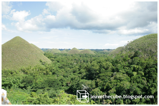 Leave the cube: Bohol: Chocolate Hills and Tarsiers