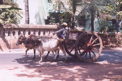 TōnFerns - A Nostalgic Journey (Tony Fernandes): DAYS OF THE BULLOCK ...