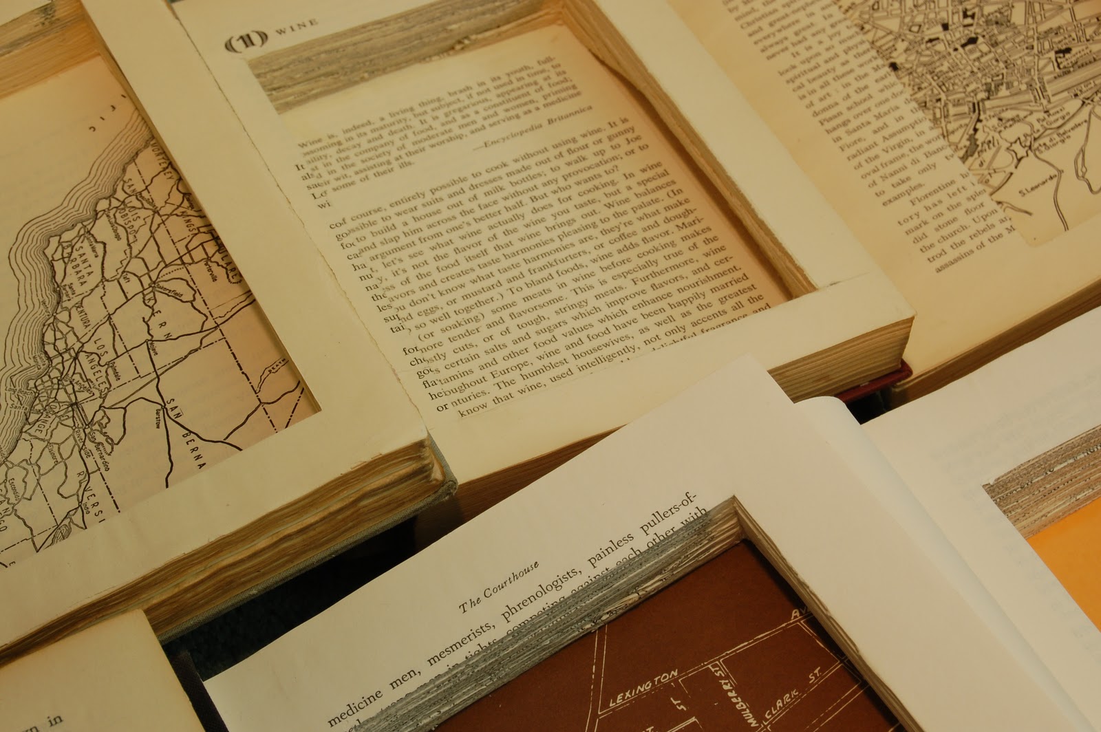 Downtown Doodler's Doodles: Hollowed out books