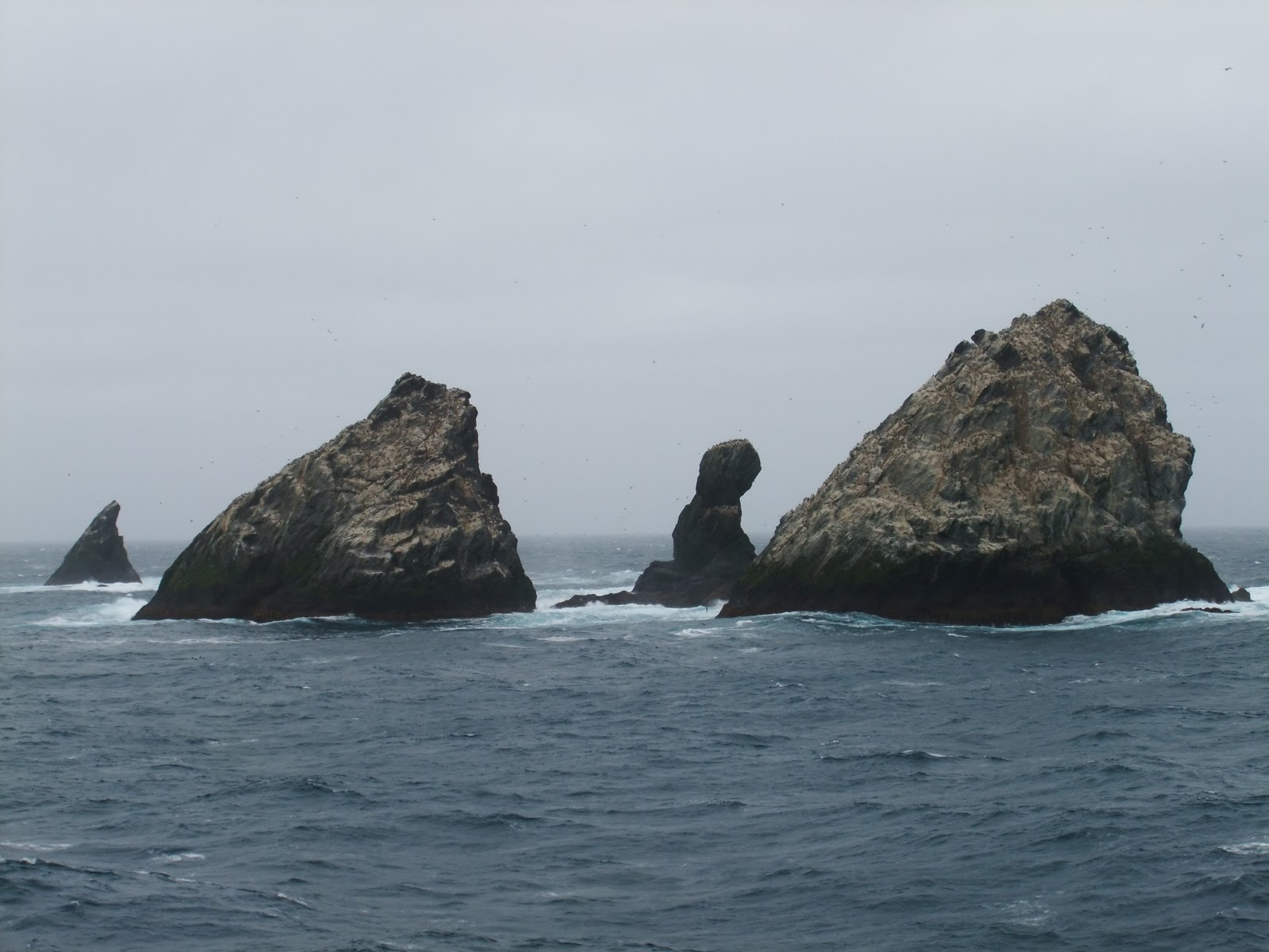 Antarctica: Shag Rocks - South Georgia