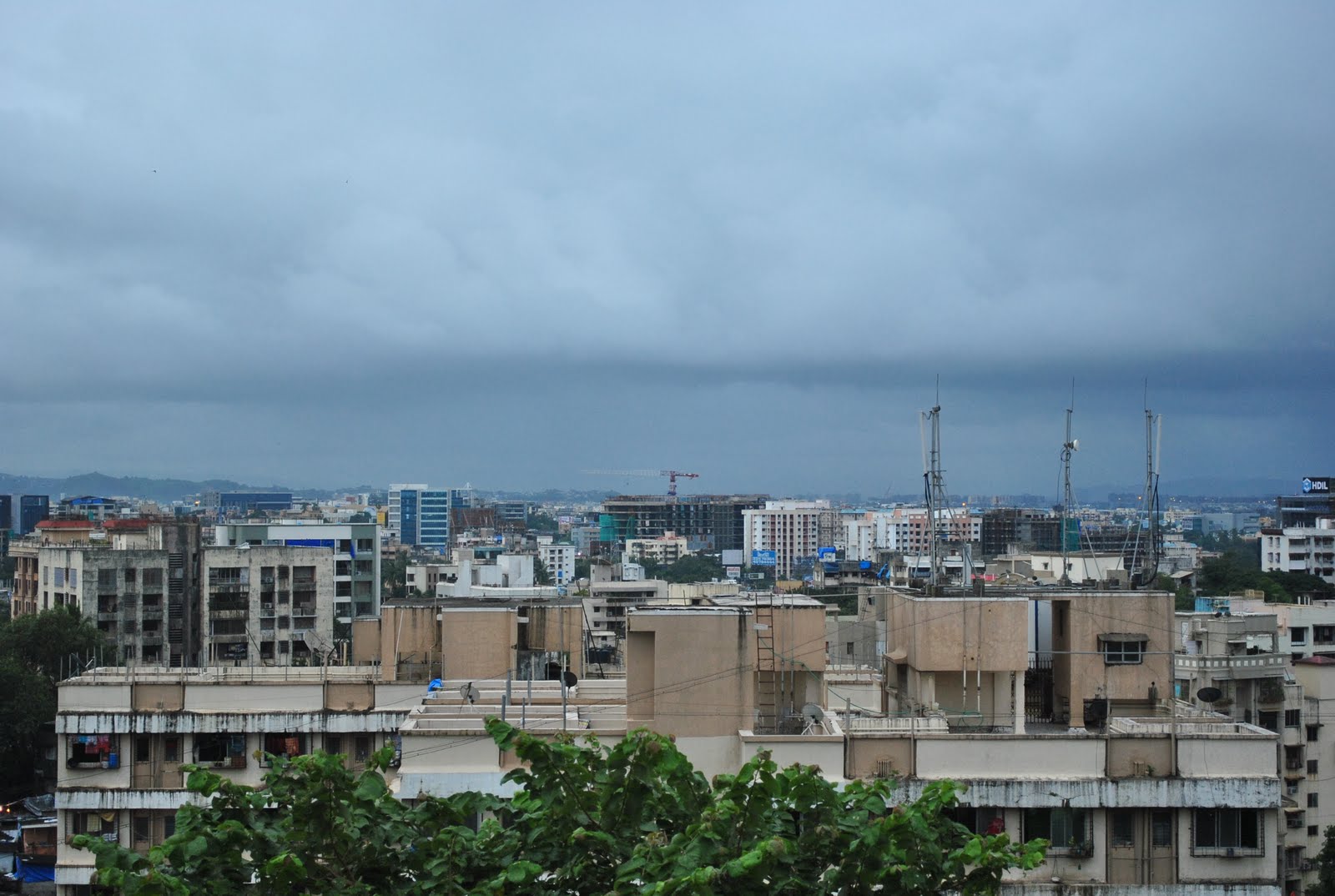 Colours of Life: The View from Gilbert Hill