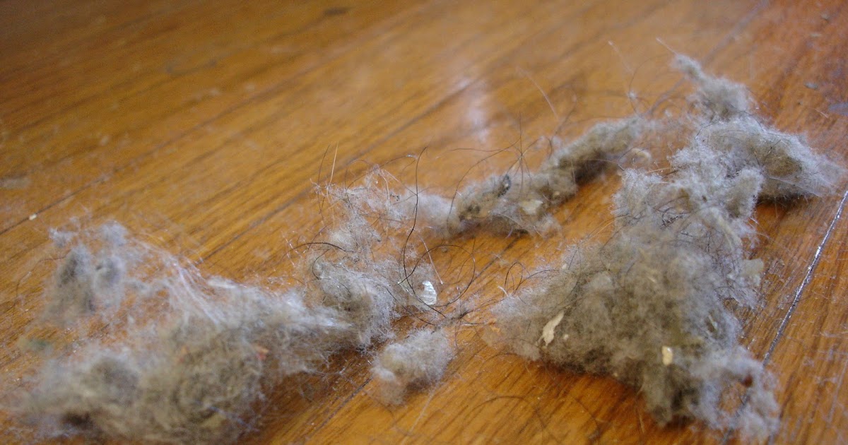 Como a poeira pode afetar a saúde e veja dicas para eliminá-la ...