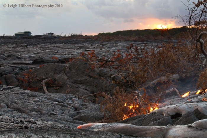 HAWAIIAN LAVA DAILY: ~ Lava viewing area has lava to be viewed