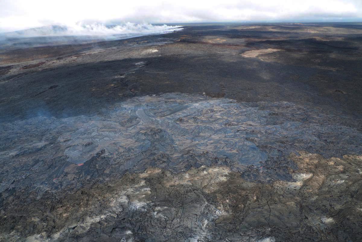 HAWAIIAN LAVA DAILY: ~ New rootless shields forming above Pulama Pali