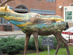 Elkton Maryland Downtown Dirt