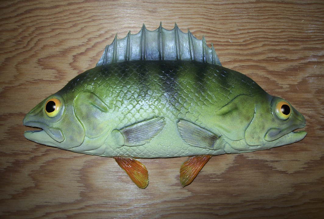 Blog de aula: CLASSROOM ACTIVITIES.FILE 1.LESSON 1