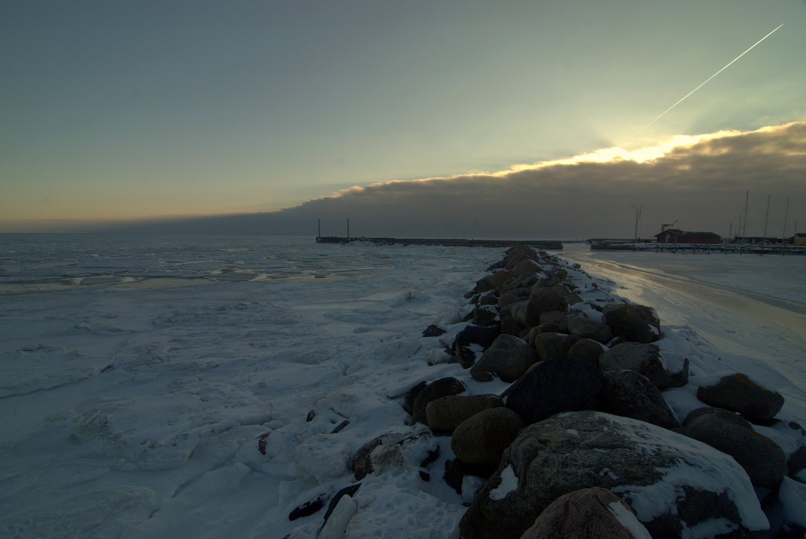 fugle ved asaa og gerå: december 2010