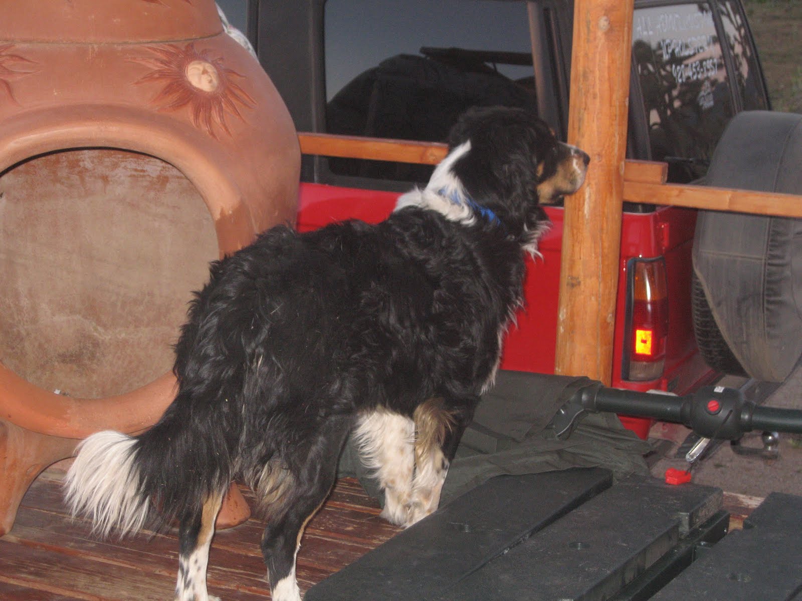 Stumpy Wanders: The Berner (aka Alphonso Bernard Jacob Scout Billy Bob ...