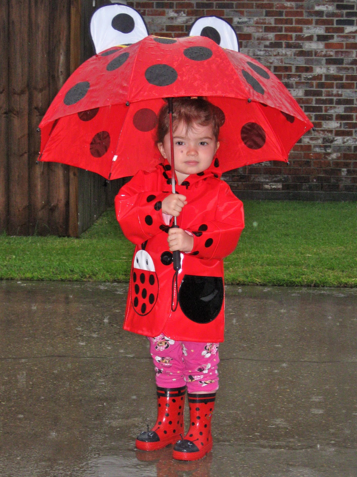 CELL PHONE: Ladybug rain gear