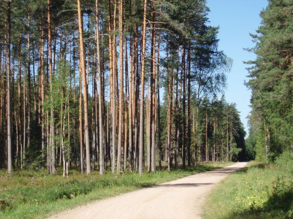 Rattamatk: 17.juuli 2010